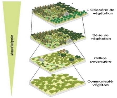 Les végétations comme grille de lecture des habitats naturels | CBNBL