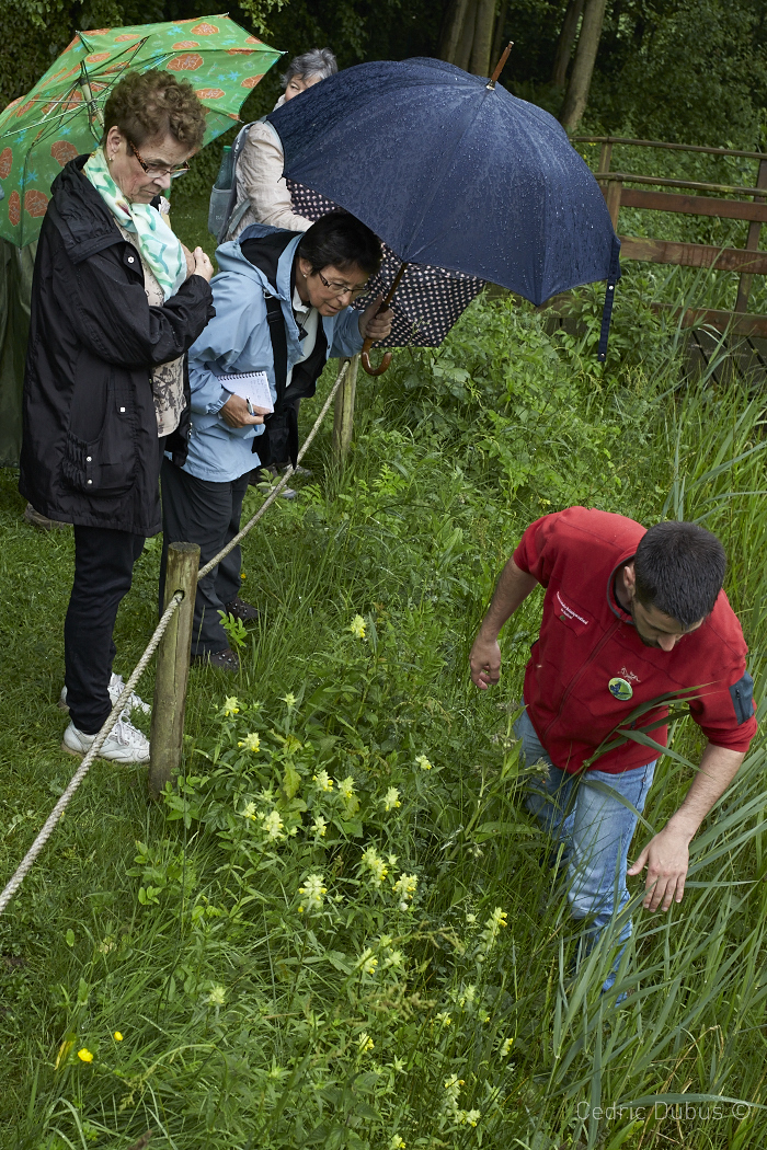 Demandez le programme des visites guidées ! | CBN de Bailleul Demandez le programme des visites guidées ! | CBN de Bailleul